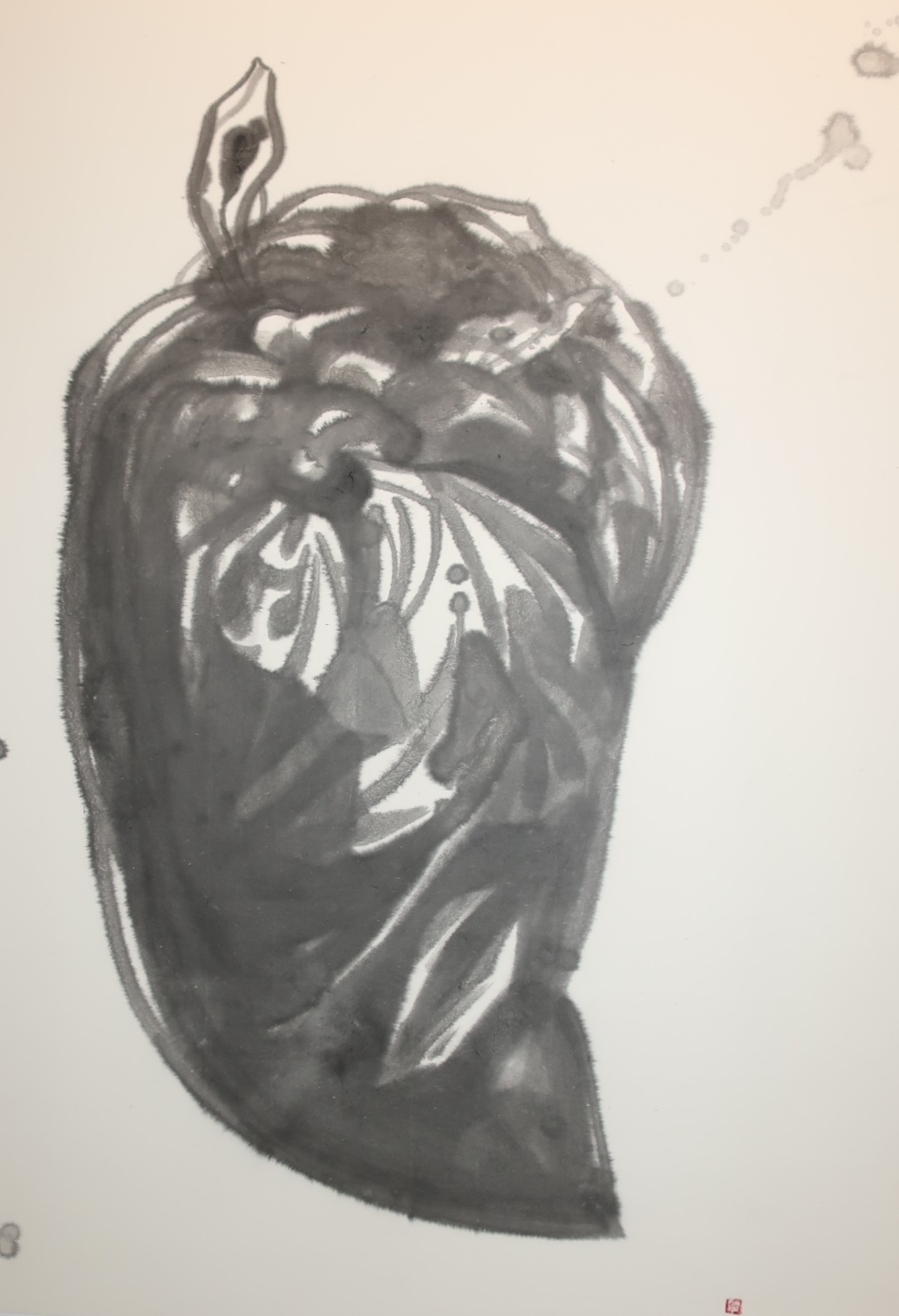 Jiri Straka - Eco-Ink
